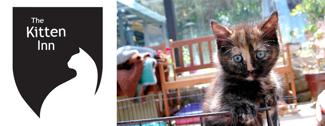 slider1 – Kitten Inn